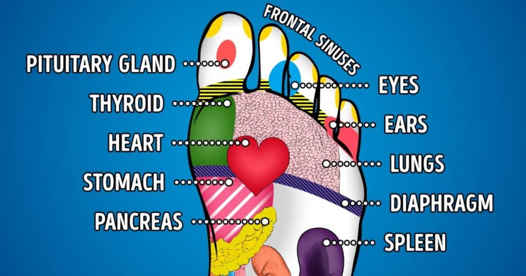 21 Points on Your Feet You Can Massage to Improve Your Well-Being – HealthW