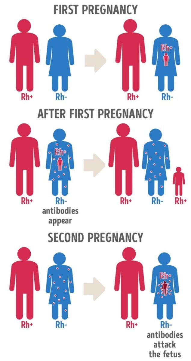 5 Vital Reasons Why You Should Know Your Family Members’ Blood Types ...