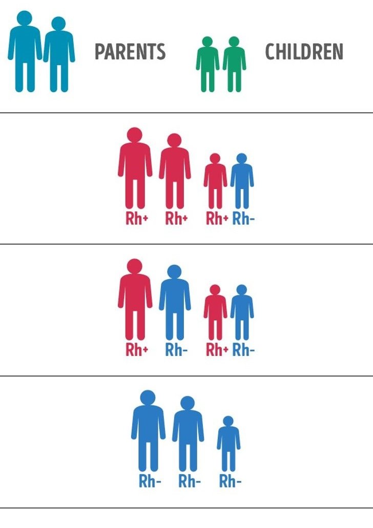 5 Vital Reasons Why You Should Know Your Family Members’ Blood Types ...